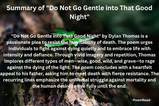 Analysis: Do Not Go Gentle into That Good Night - PoemRead