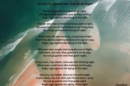 Analysis: Do Not Go Gentle into That Good Night - PoemRead